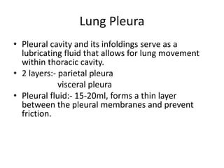 Physiology Of Respiration Pptx