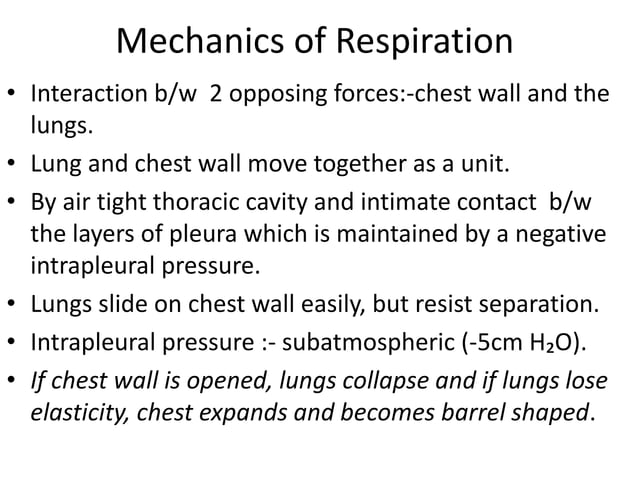 Physiology of respiration | PPTX | Lung and Respiratory Health ...