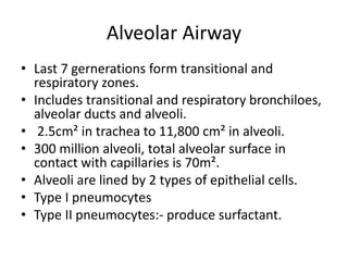 Physiology of respiration | PPTX
