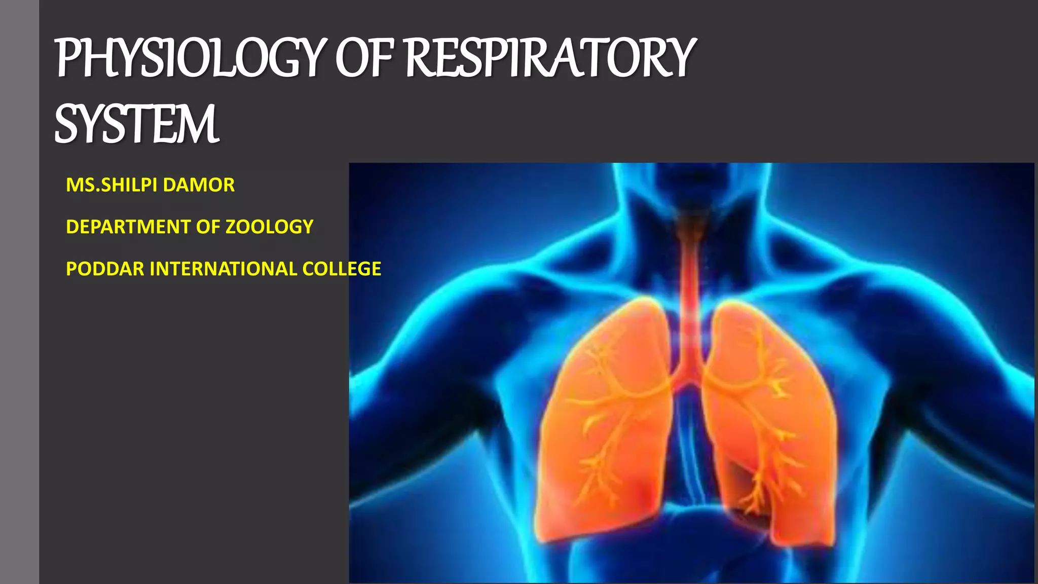 Physiology of respiration | PPTX | Lung and Respiratory Health ...