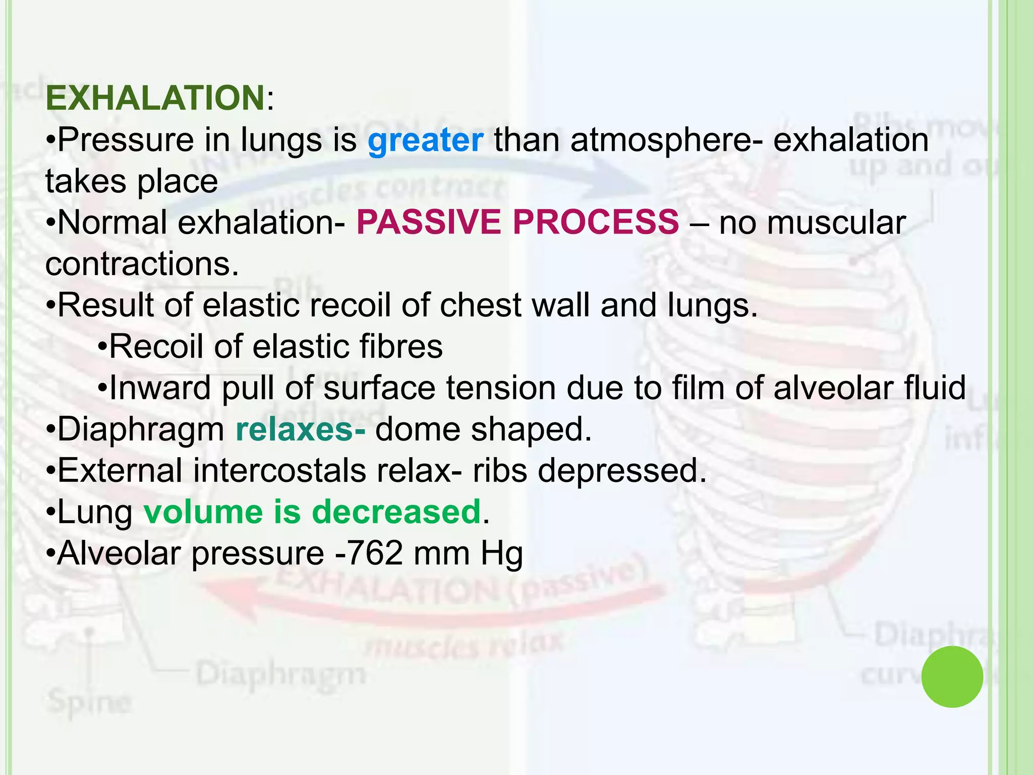 Physiology of respiration | PPTX