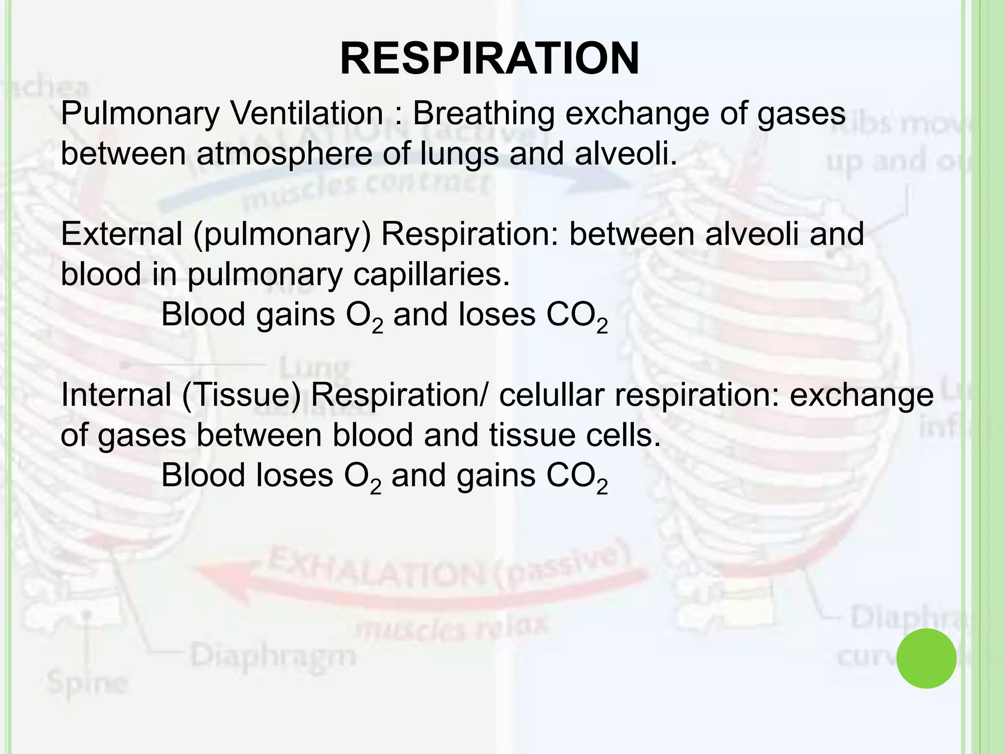 Physiology of respiration | PPTX