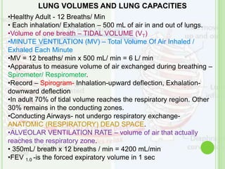 Physiology of respiration | PPTX