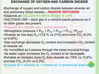 Physiology of respiration | PPTX