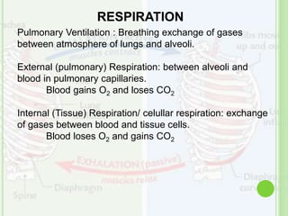 Physiology of respiration | PPTX