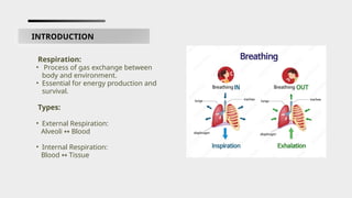 Physiology of respiration and its chemical regulation.pptx