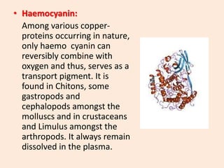 Physiology of Respiration in Invertebrates | PPTX