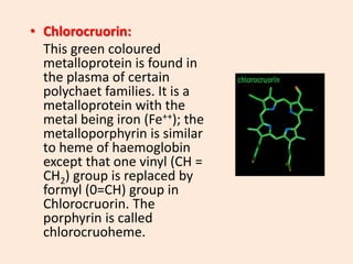 Physiology of Respiration in Invertebrates | PPTX