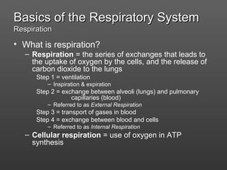 Physiology of respiratory system | PPT