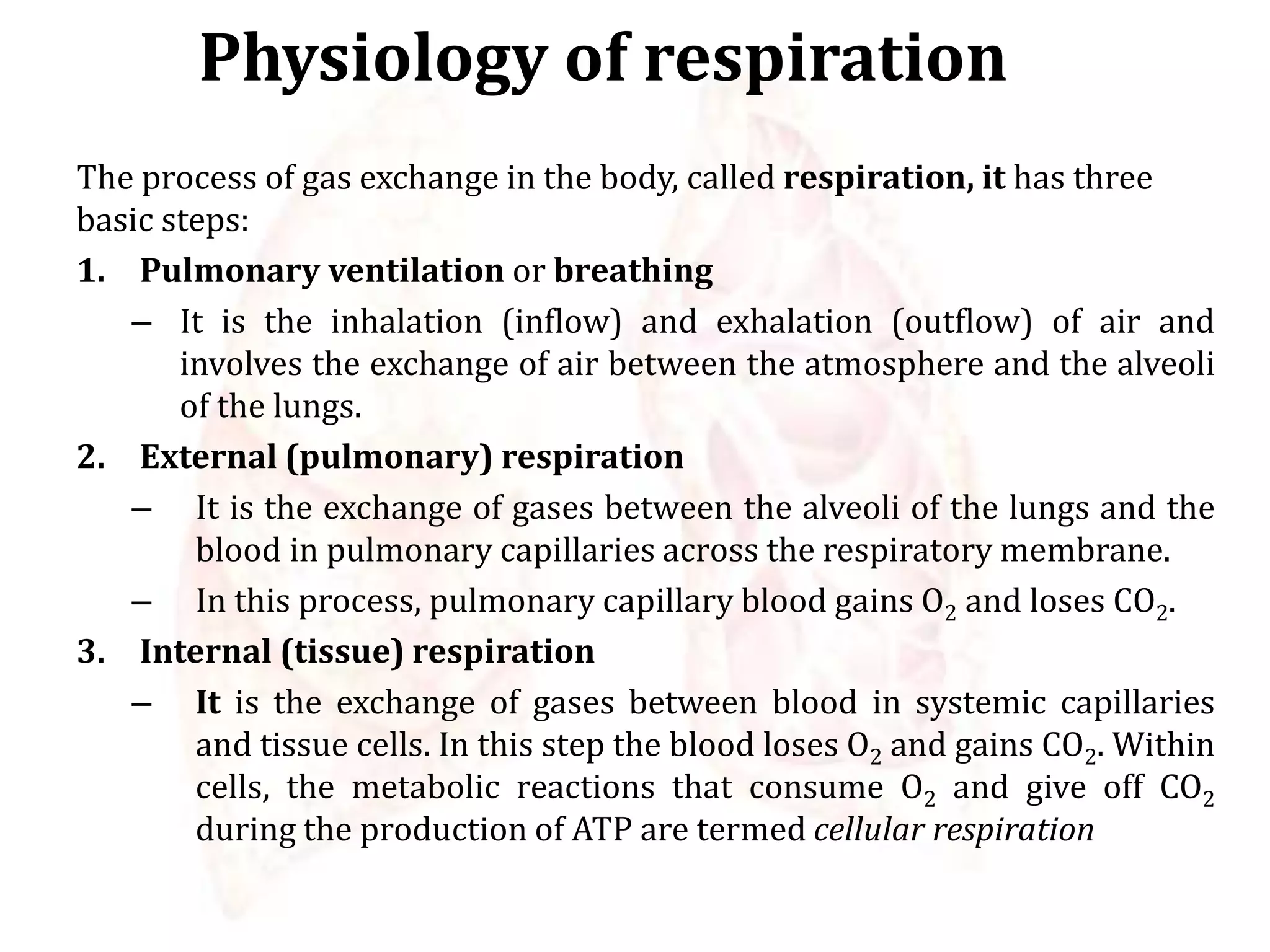 Respiratory System - Physiology | PPSX