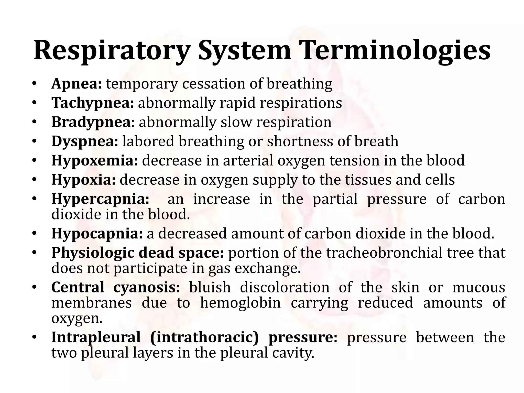 Respiratory System - Physiology | PPSX