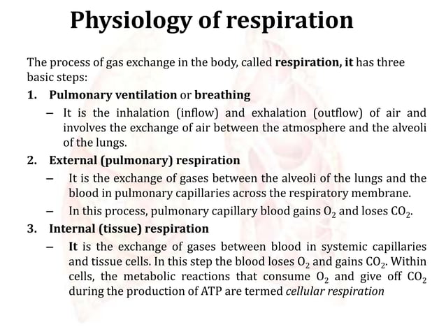 Respiratory System - Physiology | PPSX