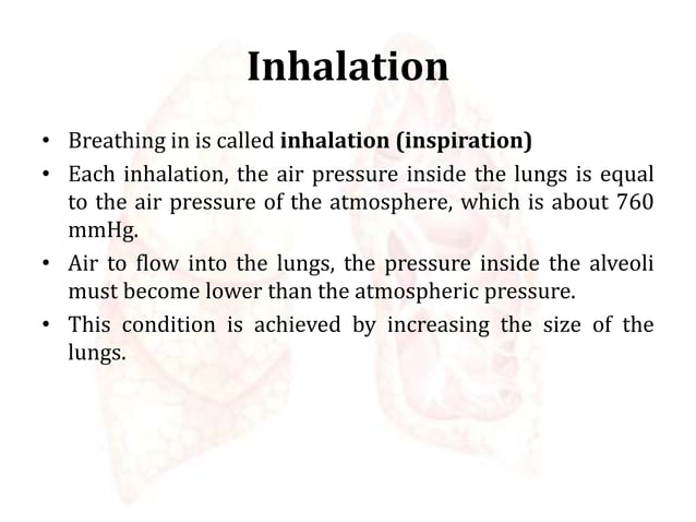 Respiratory System - Physiology | PPSX