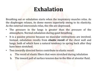 Respiratory System - Physiology | PPSX