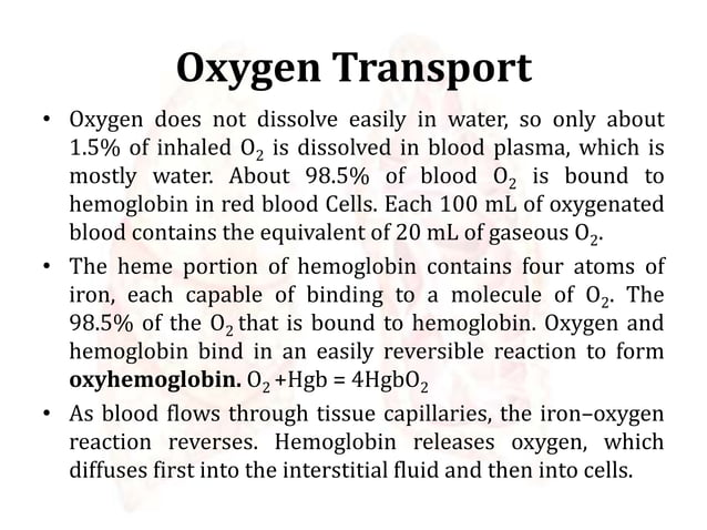 Respiratory System - Physiology | PPSX