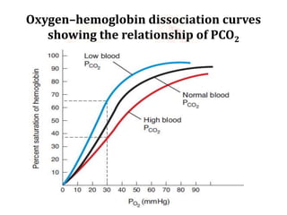 Respiratory System - Physiology | PPSX