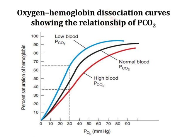Respiratory System - Physiology | PPSX