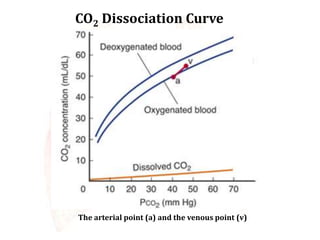 Respiratory System - Physiology | PPSX