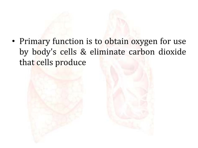 Respiratory System - Physiology | PPSX