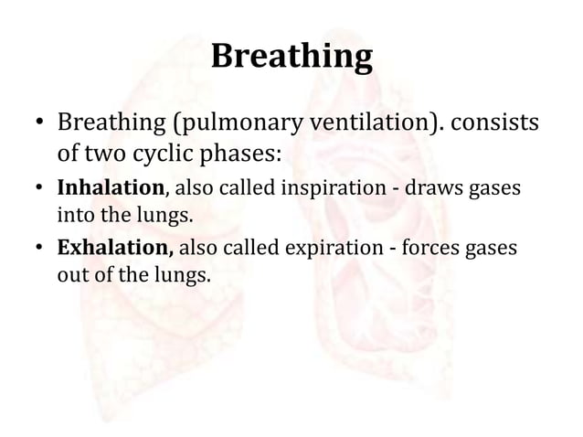 Respiratory System - Physiology | PPSX