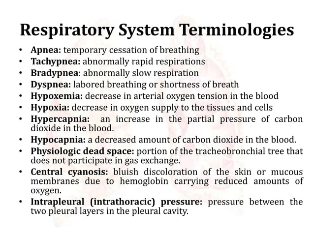 Respiratory System - Physiology | PPSX