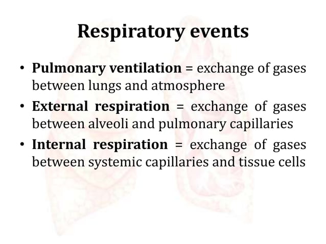 Respiratory System - Physiology | PPSX
