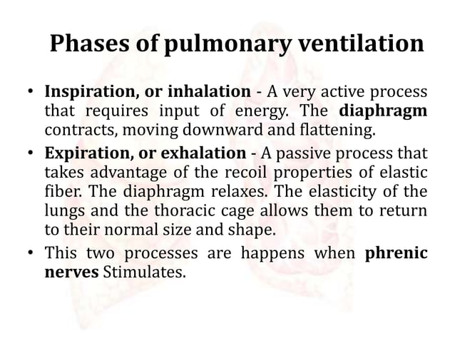 Respiratory System - Physiology | PPSX