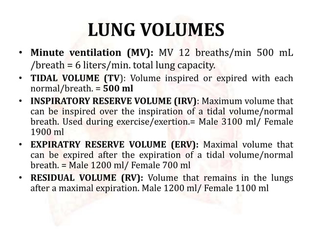 Respiratory System - Physiology | PPSX