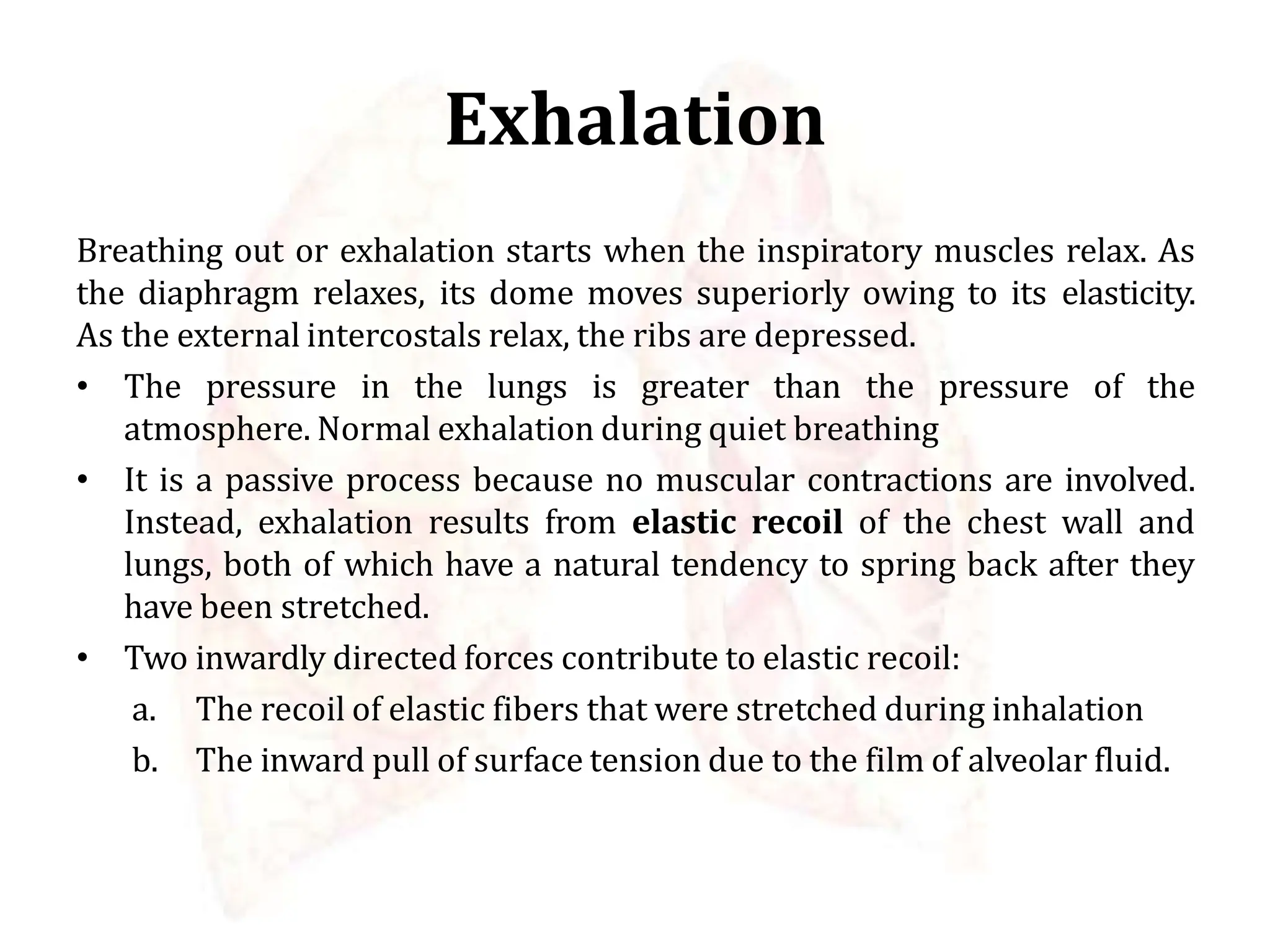physiologyofrespiratorysystem-160906102826 (1).pptx
