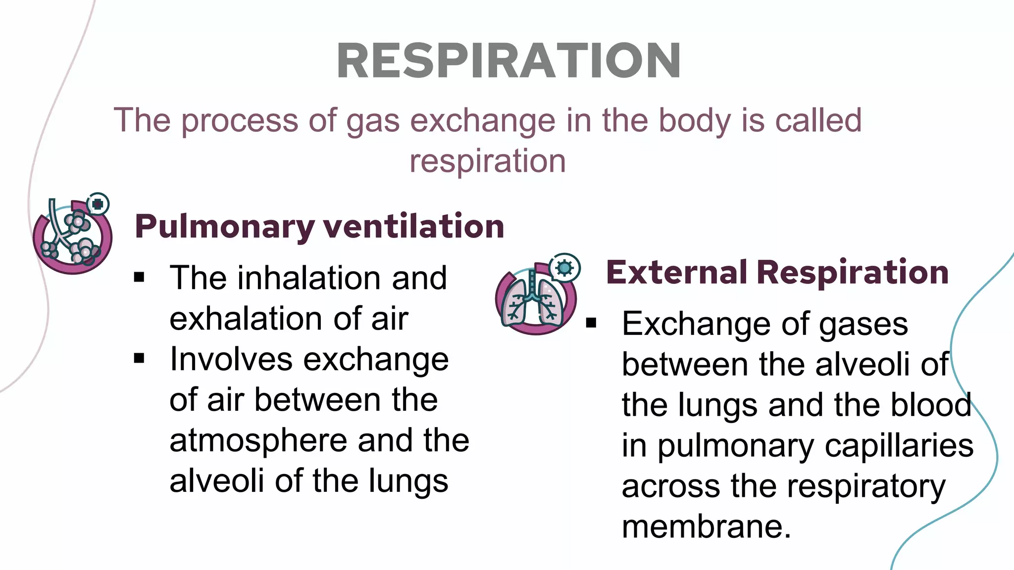 Physiology of Respiratory System.pptx