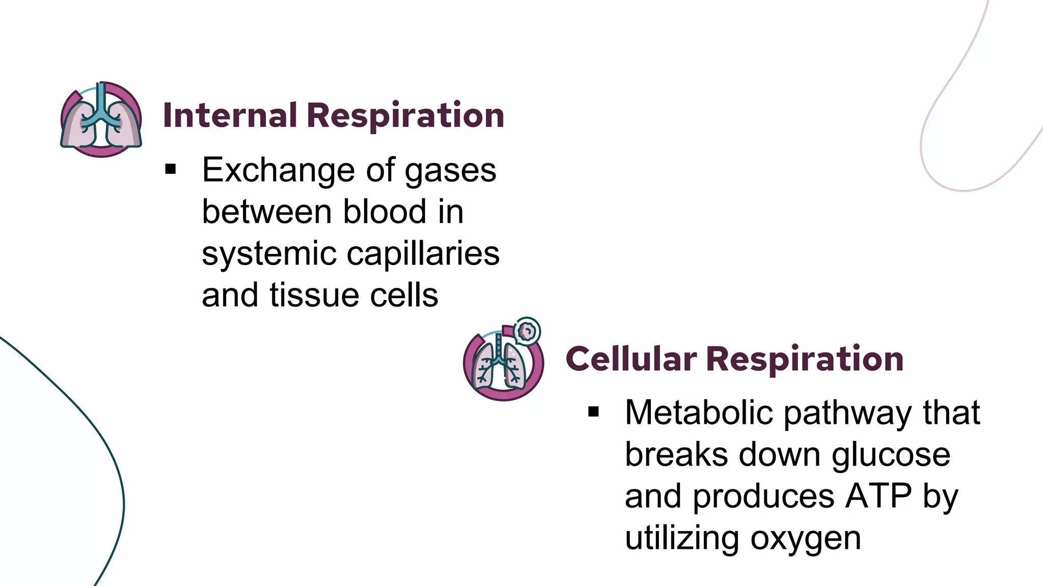 Physiology of Respiratory System.pptx