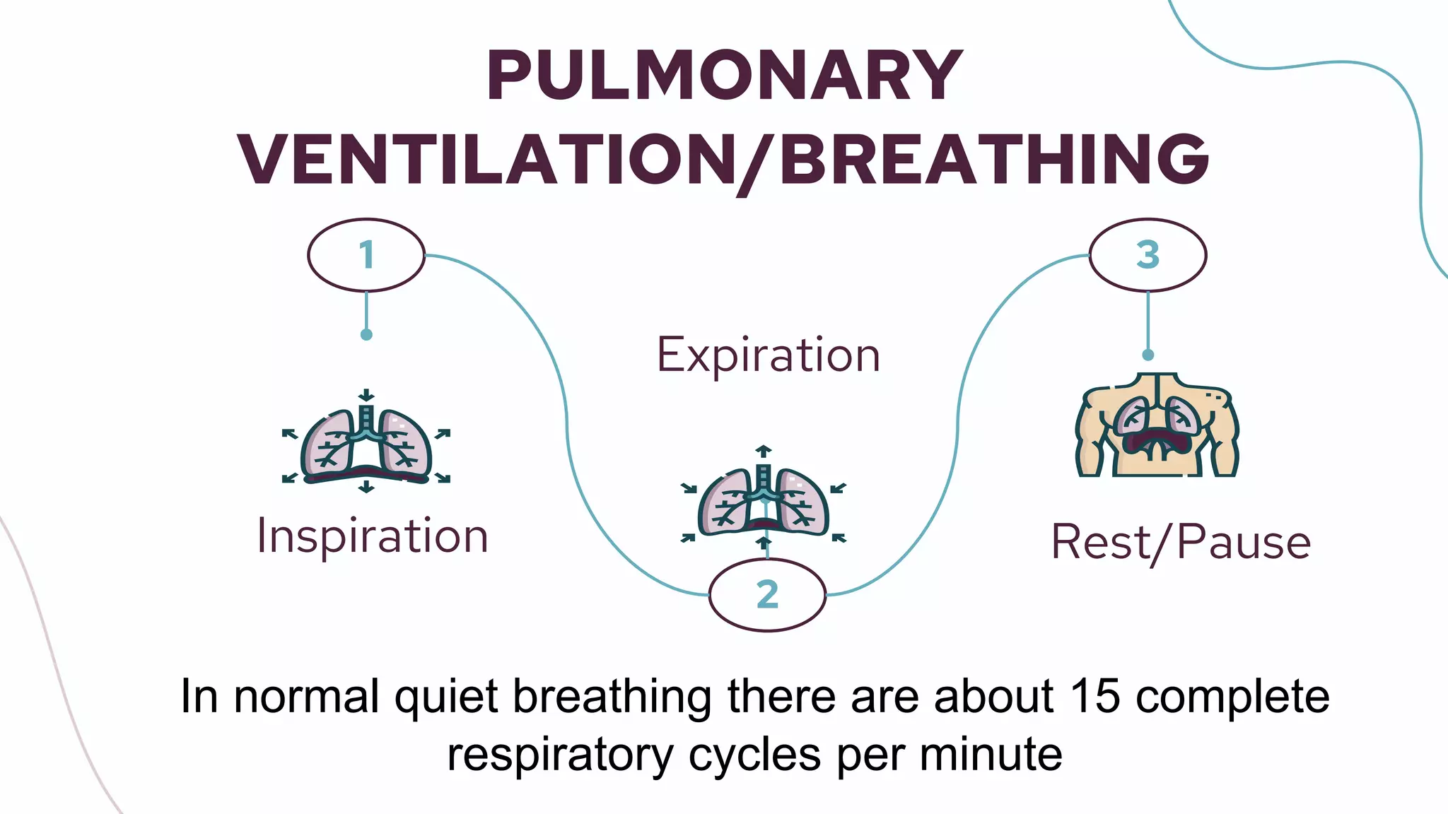 Physiology of Respiratory System.pptx