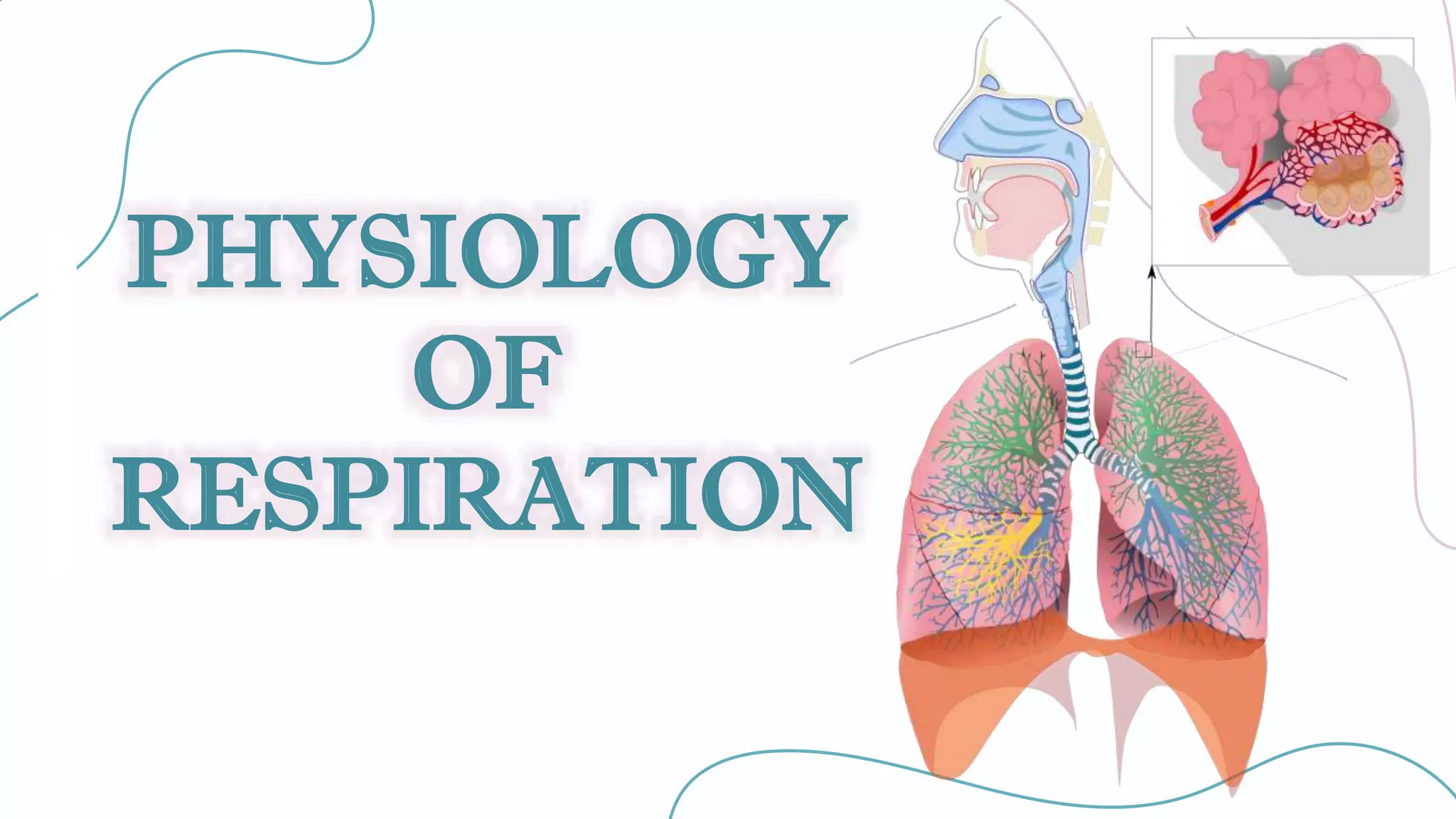 Physiology of Respiratory System.pptx