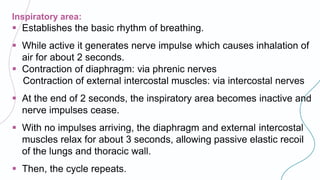 Physiology of Respiratory System.pptx