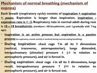 Physiology of Respiratory system power point.pptx
