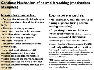 Physiology of Respiratory system power point.pptx