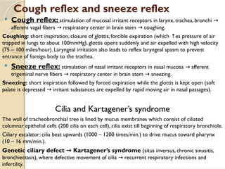 Physiology of Respiratory system power point.pptx