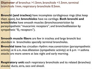 Physiology of Respiratory system power point.pptx
