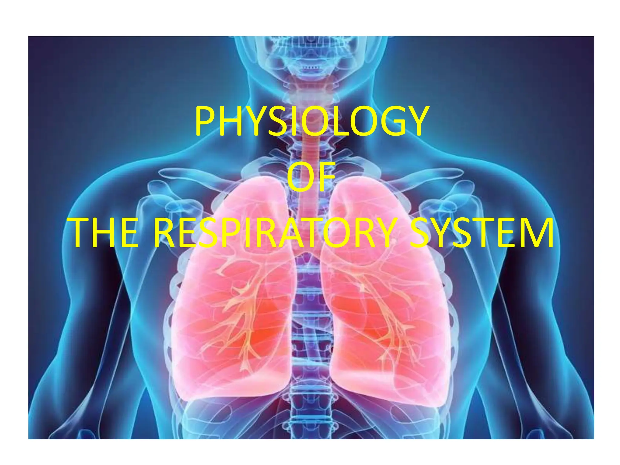 'Physiology' of Respiratory System .pptx