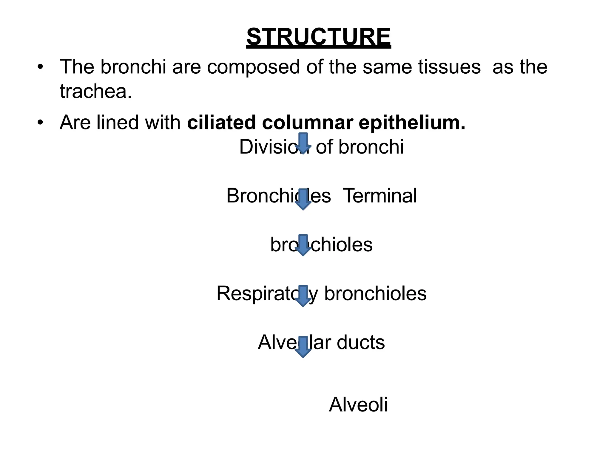 'Physiology' of Respiratory System .pptx