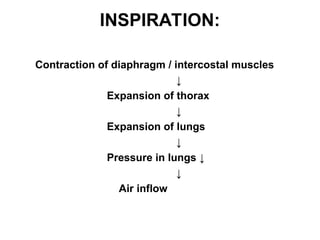 PHYSIOLOGY OF RESPIRATORY SYSTEM ..PPT