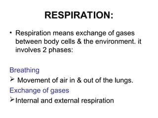 PHYSIOLOGY OF RESPIRATORY SYSTEM ..PPT