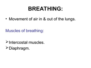 PHYSIOLOGY OF RESPIRATORY SYSTEM ..PPT