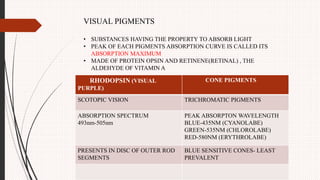 Physiology of retina | PPTX