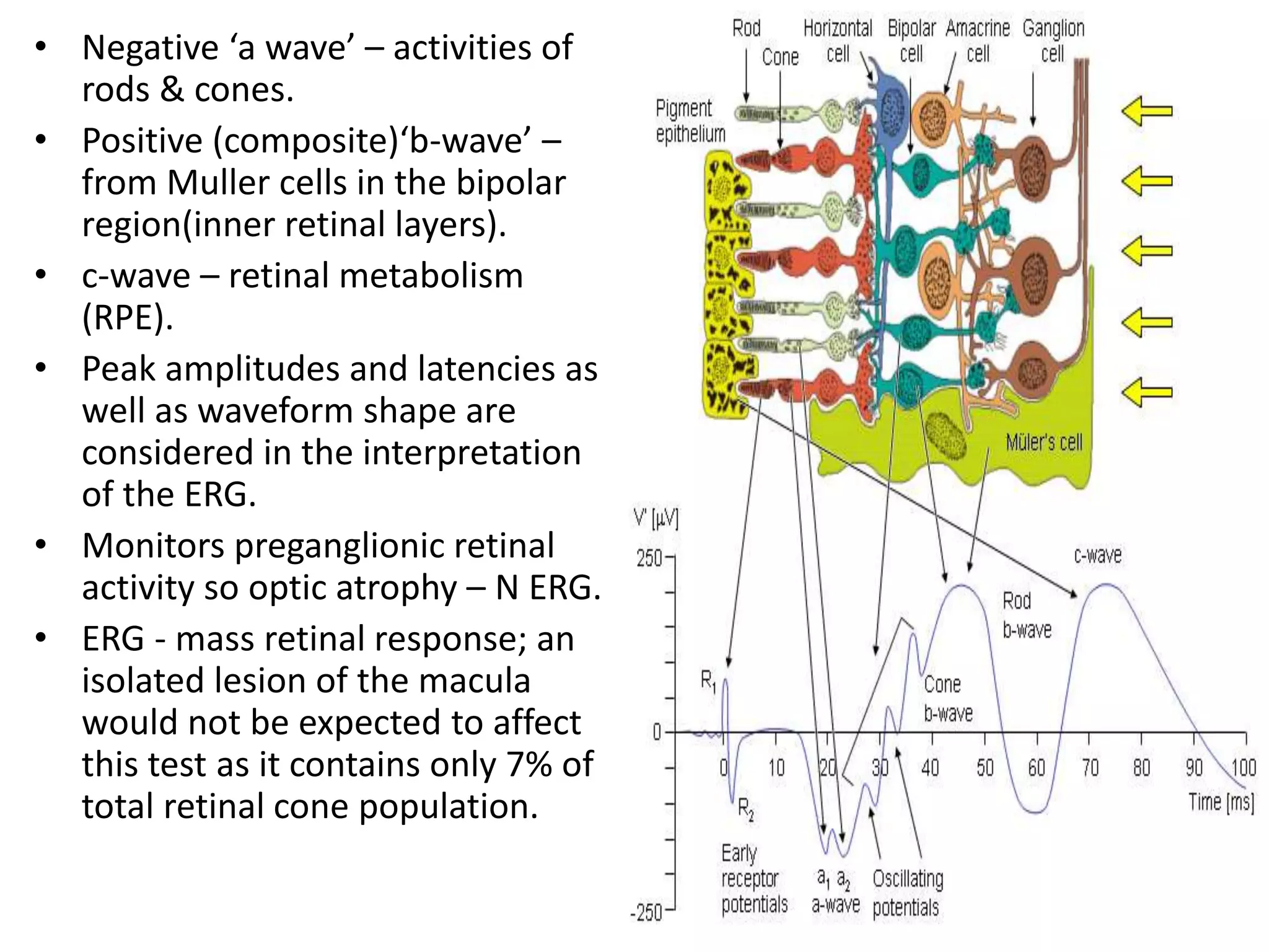 PHYSIOLOGY OF RETINA.pptx