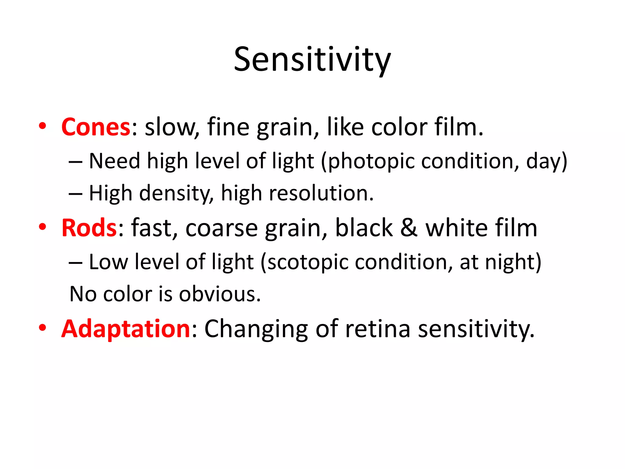 PHYSIOLOGY OF RETINA.pptx