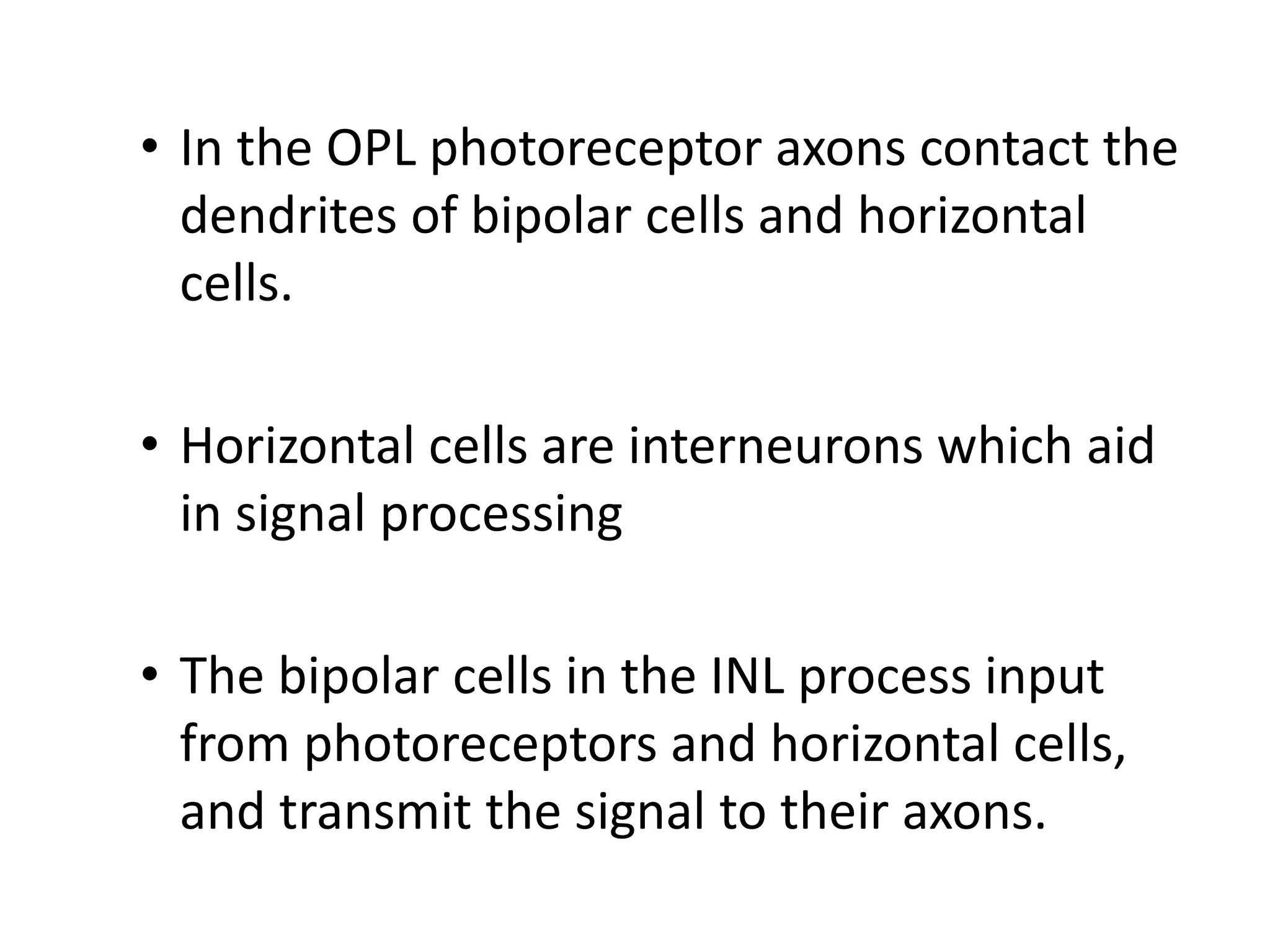PHYSIOLOGY OF RETINA.pptx