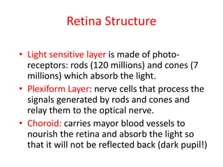 PHYSIOLOGY OF RETINA.pptx