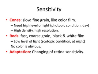 PHYSIOLOGY OF RETINA.pptx