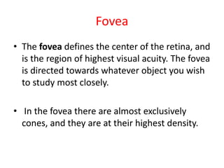 PHYSIOLOGY OF RETINA.pptx
